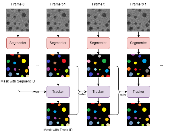 Deep Learning Applications in Microscopy: Segmentation and Tracking ...